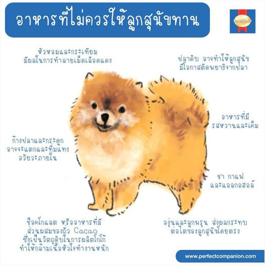 [1ซอง]SmartHeart Pouch Dog Food 120 g/สมาร์ทฮาร์ท อาหารสุนัขแบบเปียก รส ...