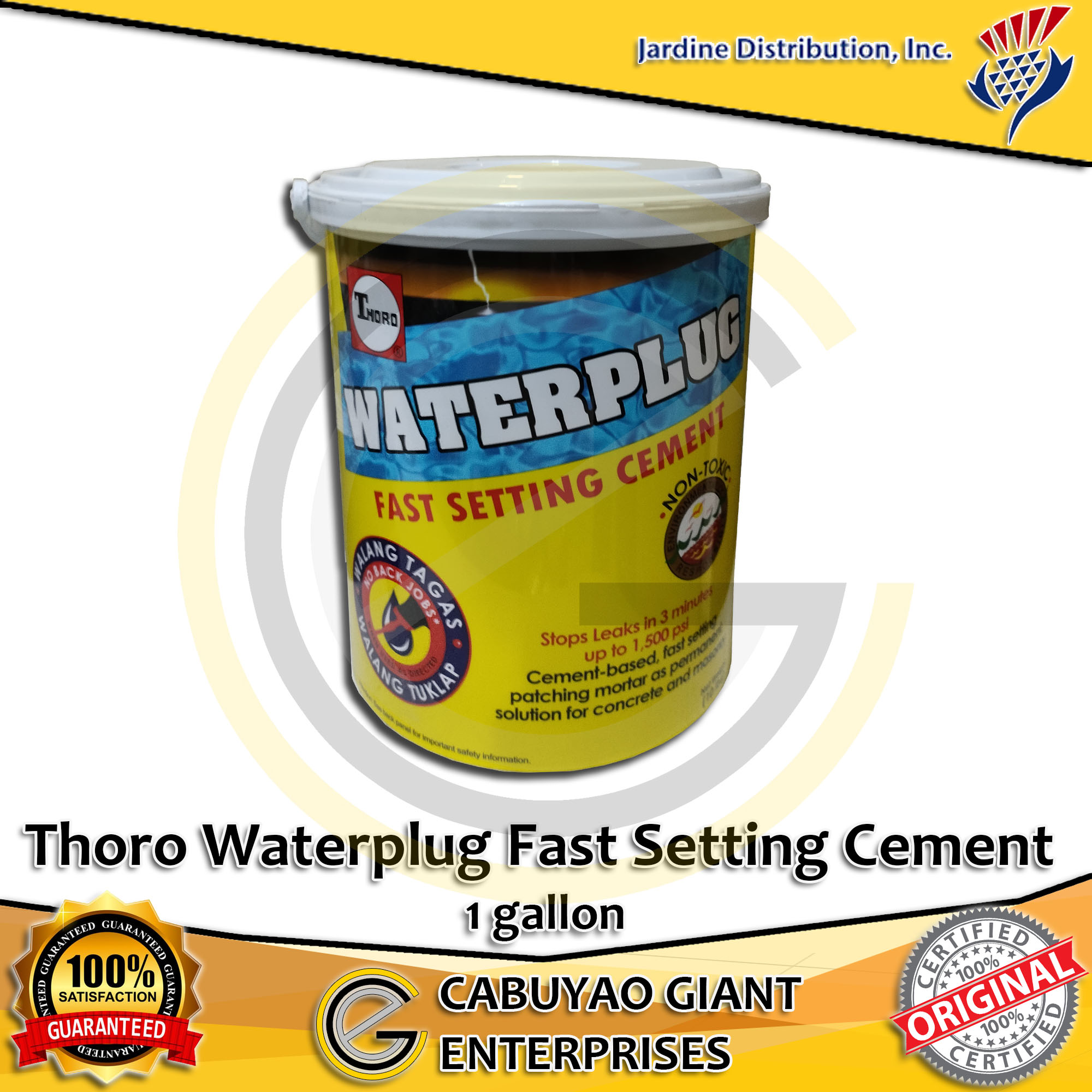 Jardine Thoro Waterplug Fast Setting Cement (gallon) | Lazada PH