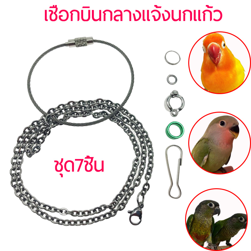 พร้อมส่ง สินค้าตรงปาก Parrot เชือกบินกลางแจ้งนกแก้ว สร้อยข้อเท้านกแก้ว ...