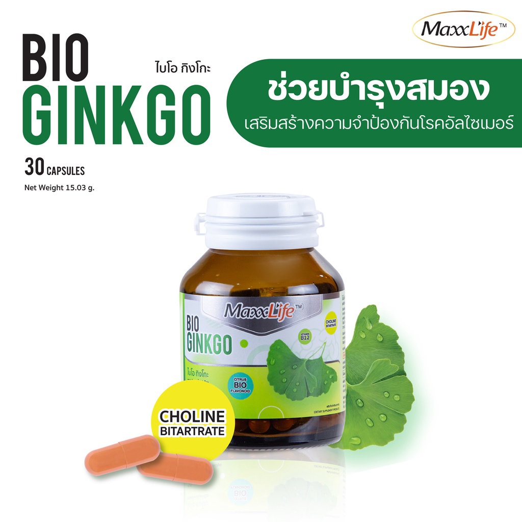 MaxxLife BIO GINKGO กระปุก 30 เม็ด | Lazada.co.th