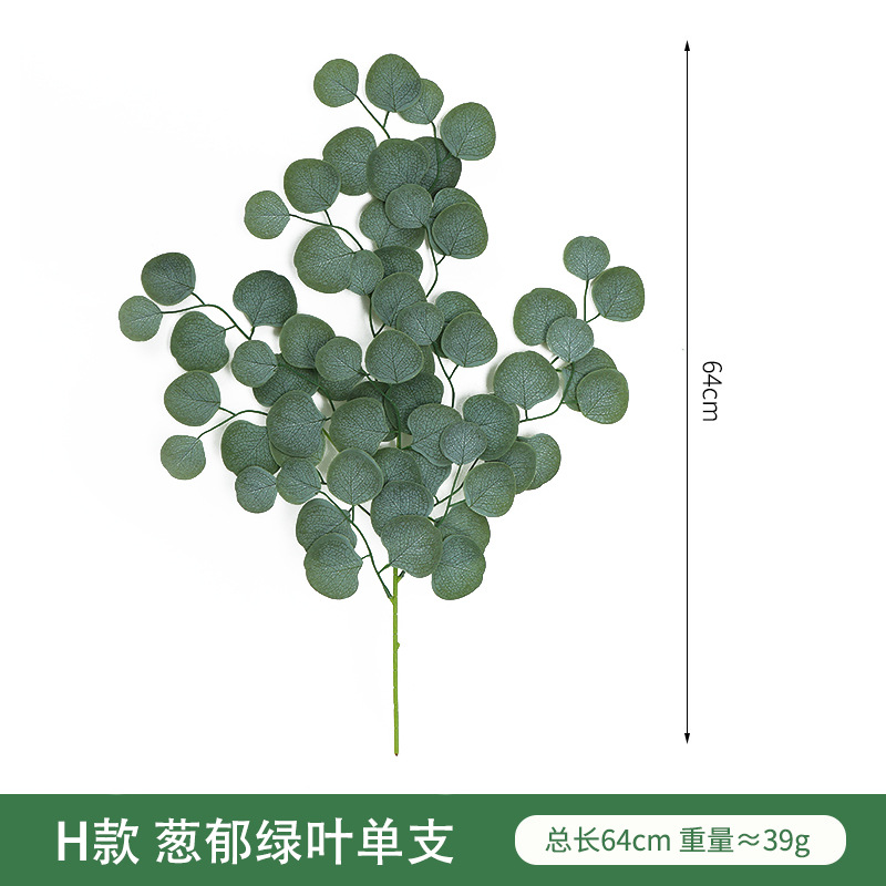 Simulation date palm leaves single spring Mori Eucalyptus bean flower ...