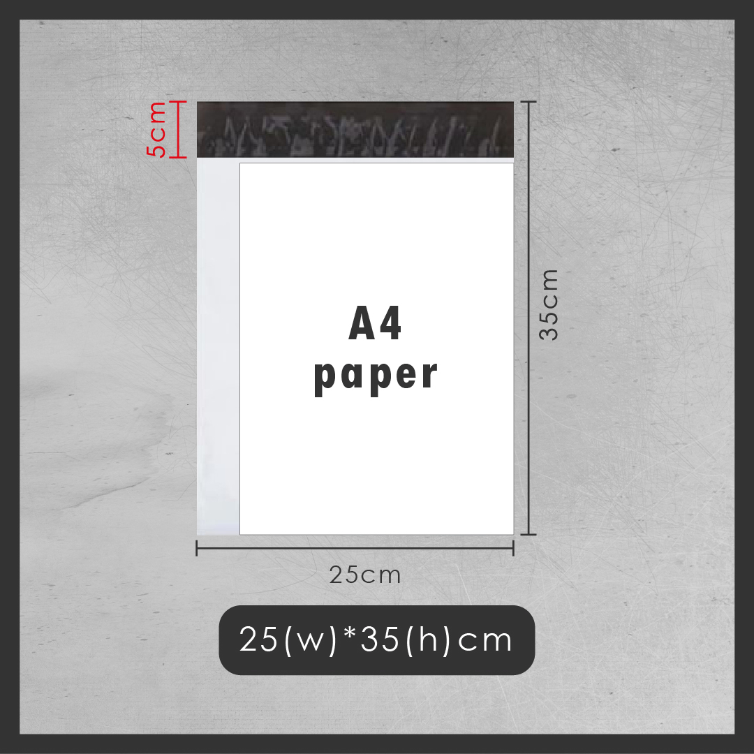 Courier Bag 100pcs Packaging Shipping Plastic Mailing Flyer 快递袋 Beg ...