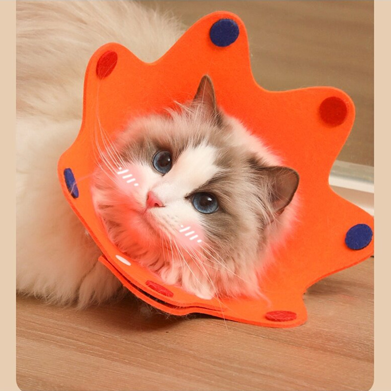 【Dargly】CODปลอกคอกันเลีย S/M/L คอลล่าแมว คอลล่าสุนัข ป้องกันการเลียแผลนุ่มนิ่มใส่สบาย คอลล่ากัน ...