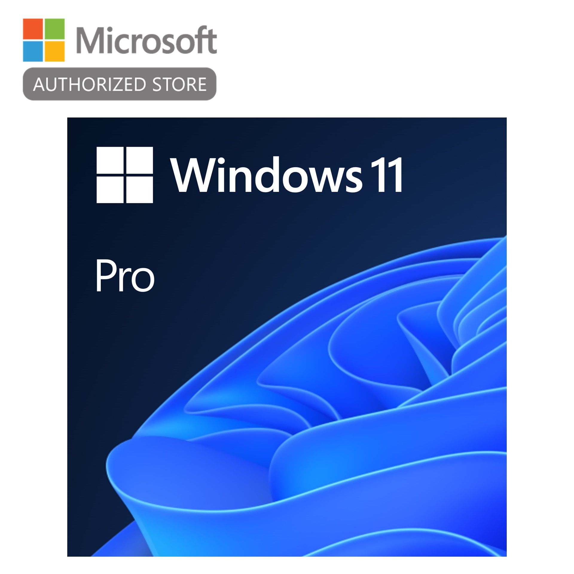 Windows 11 Pro [Digital Download Version ] | Lazada PH