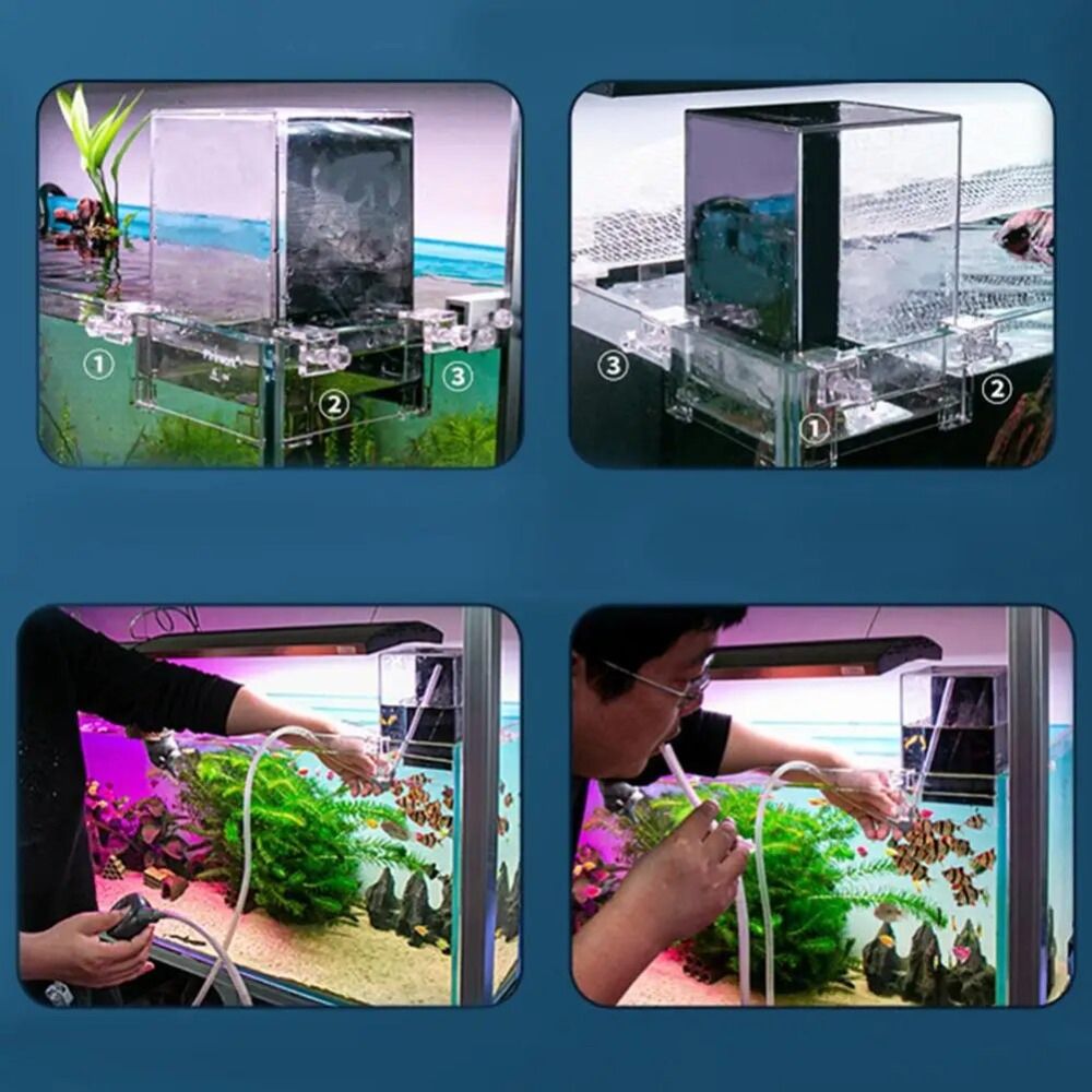 Aquarium Decor Bigger Space Fish Elevator Acrylic Convenient ...