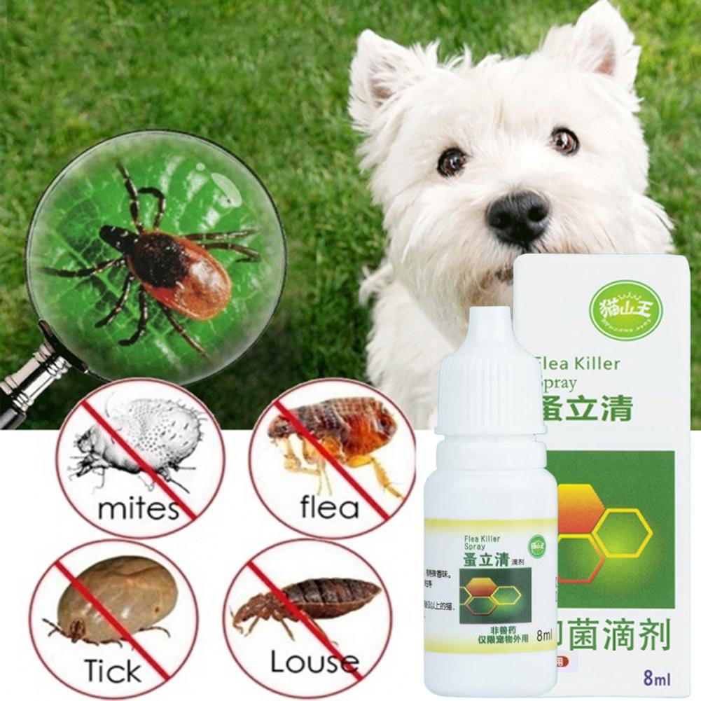 【VintageEssence】8ML Flea Spray Safe Ingredients Itch Relief Remove ...