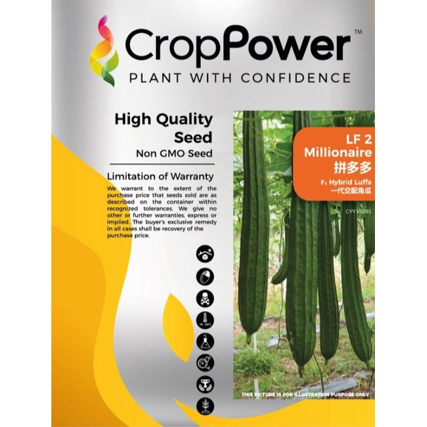 Benih Petola LF 2 Millionaire F1 Hybrid Luffa Crop Power - ( 100g ) 👍 💯 ...