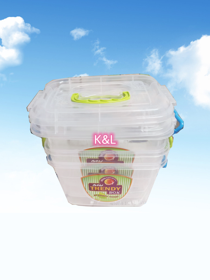 Trendy Box/Utility Storage Box/Snack Box/Organizer Box (9702/9703 ...