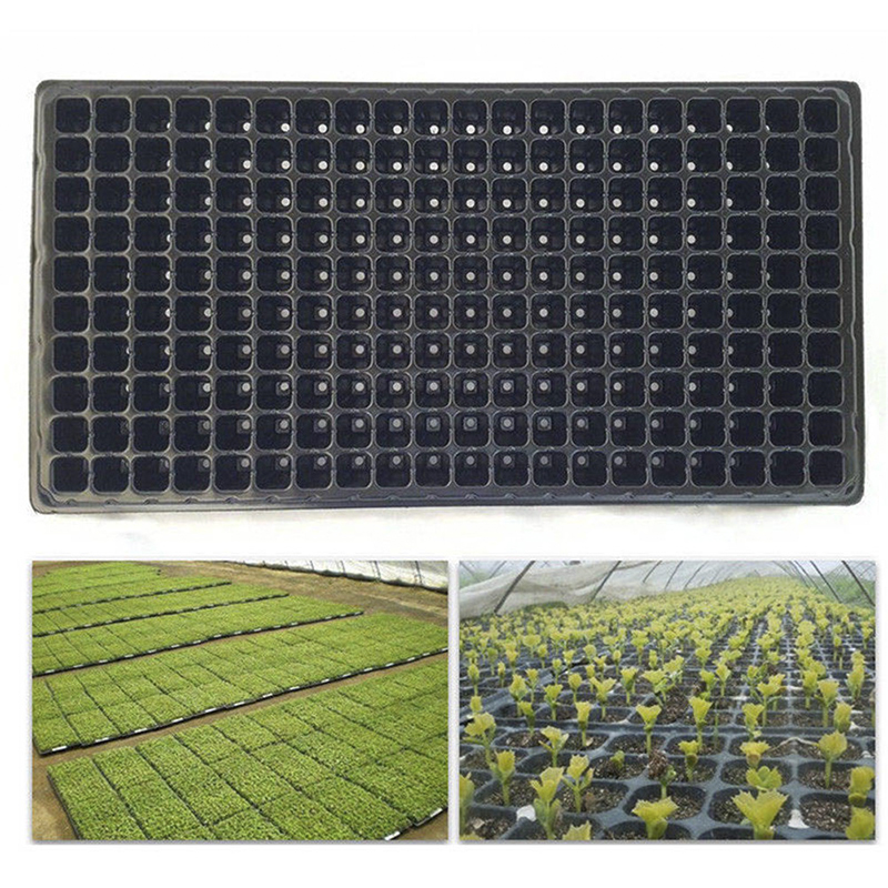 200Cells Seedling Growing Cases Germination Plant Propagation Nursery ...