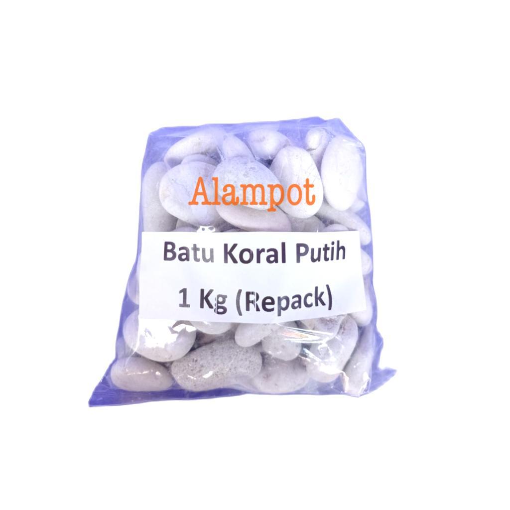 Batu Taman Koral Coral Putih 1 Kg Repack | Lazada Indonesia