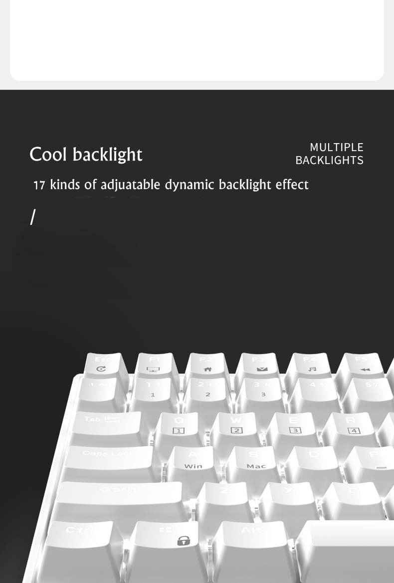 【เวอร์ชั่นไทย】Royal Kludge RK100 RGB คีย์บอร์ดไร้สาย Hot swap คีย์บอร์ด ...