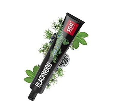 SPLAT Special Blackwood Toothpaste | Lazada