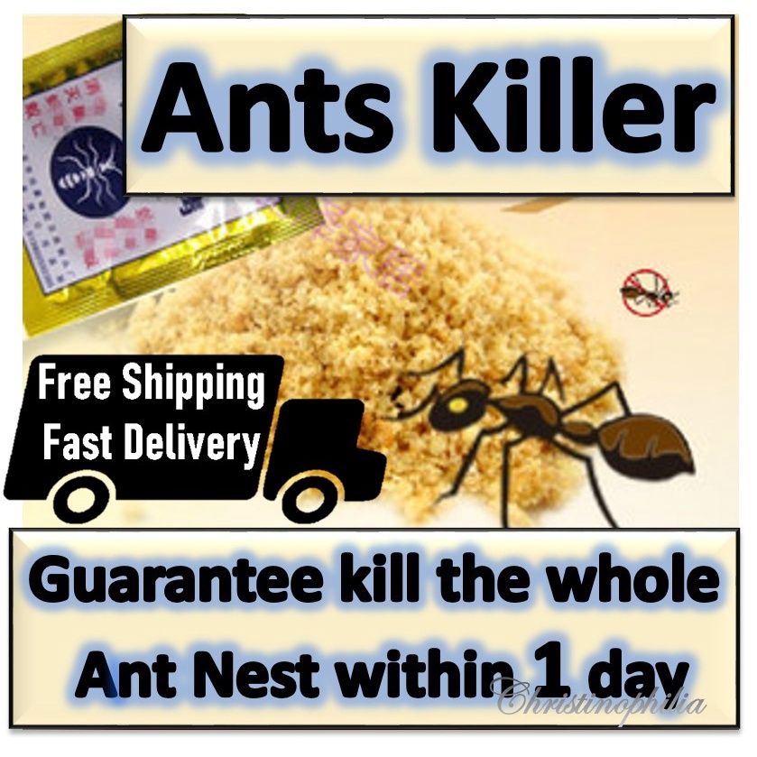 [SG Seller] 2 packets Ants / Cockroaches/ Flies powder bait Ant nest ...