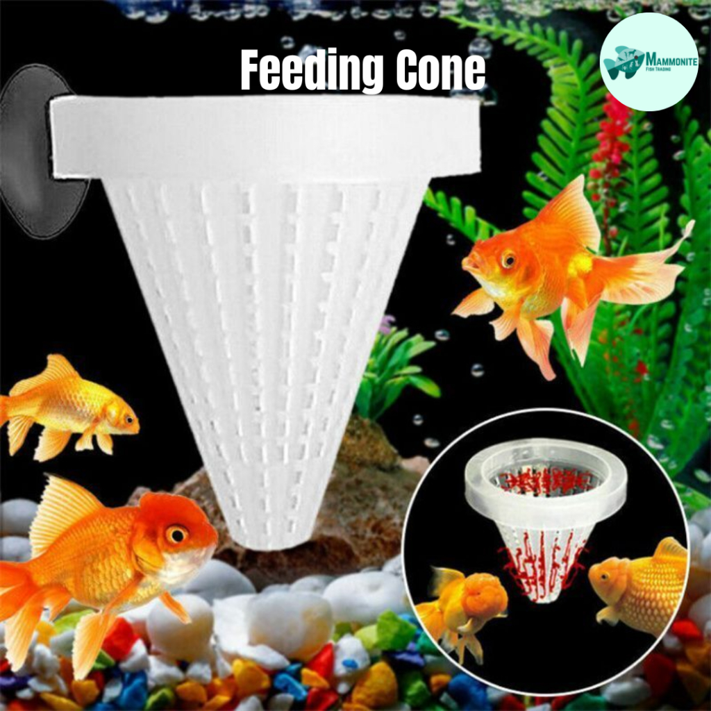 Aquarium Tubifex Worm Plastic Cone Feeder 7cm | Lazada PH