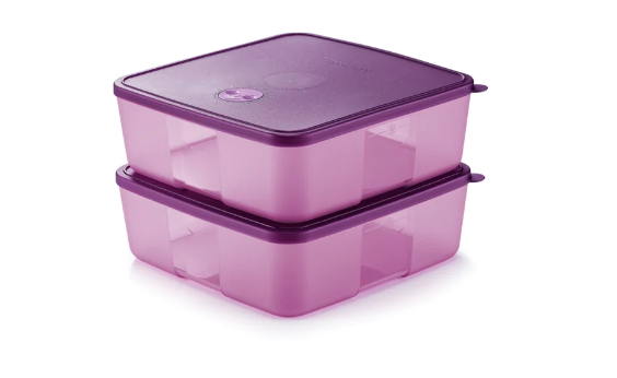 Tupperware Freezermate Set with Dial - food container, portable ...