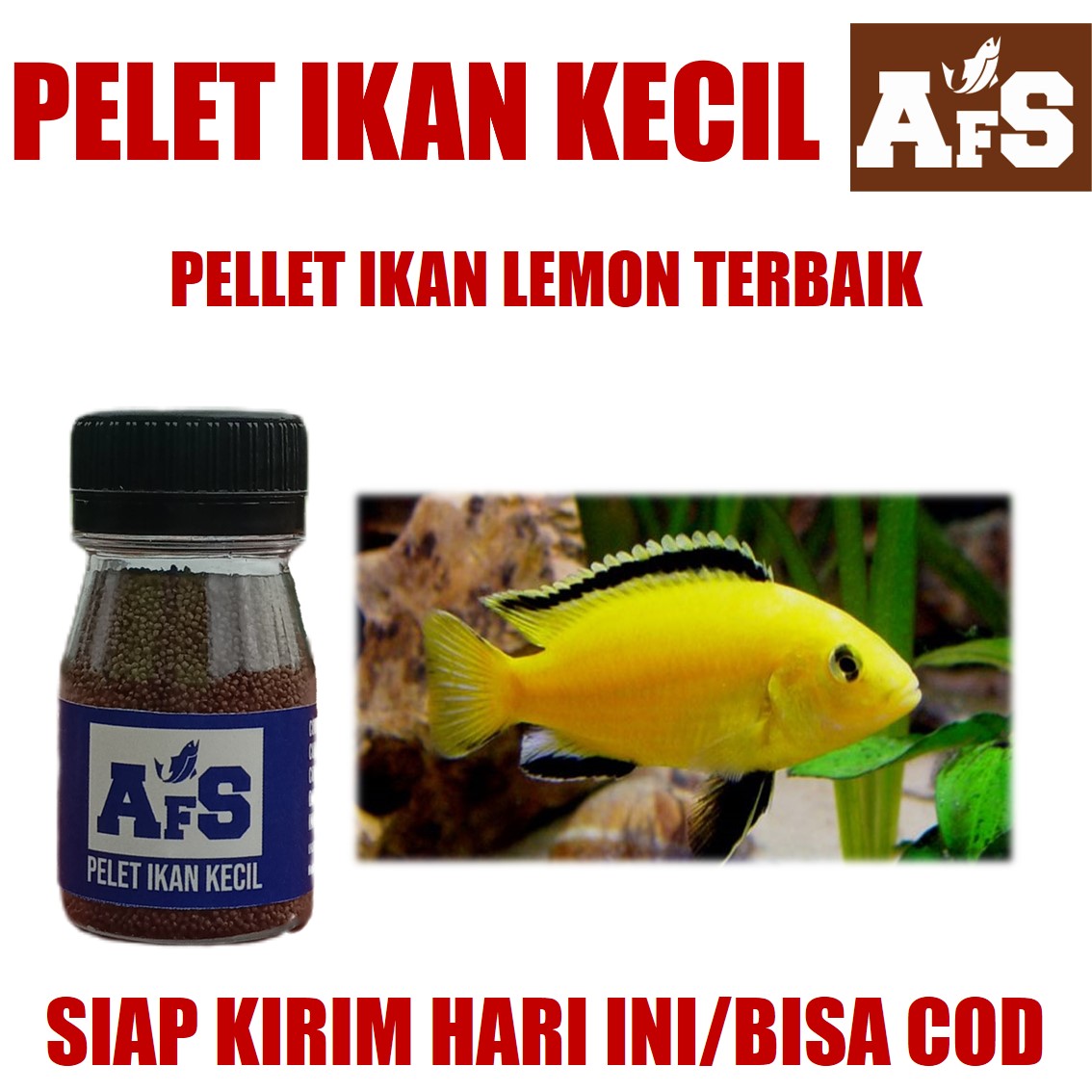 Pelet Ikan Lemon Yang Mudah Di Cerna Ikan, Kualitas Terbaik - Pelet ...