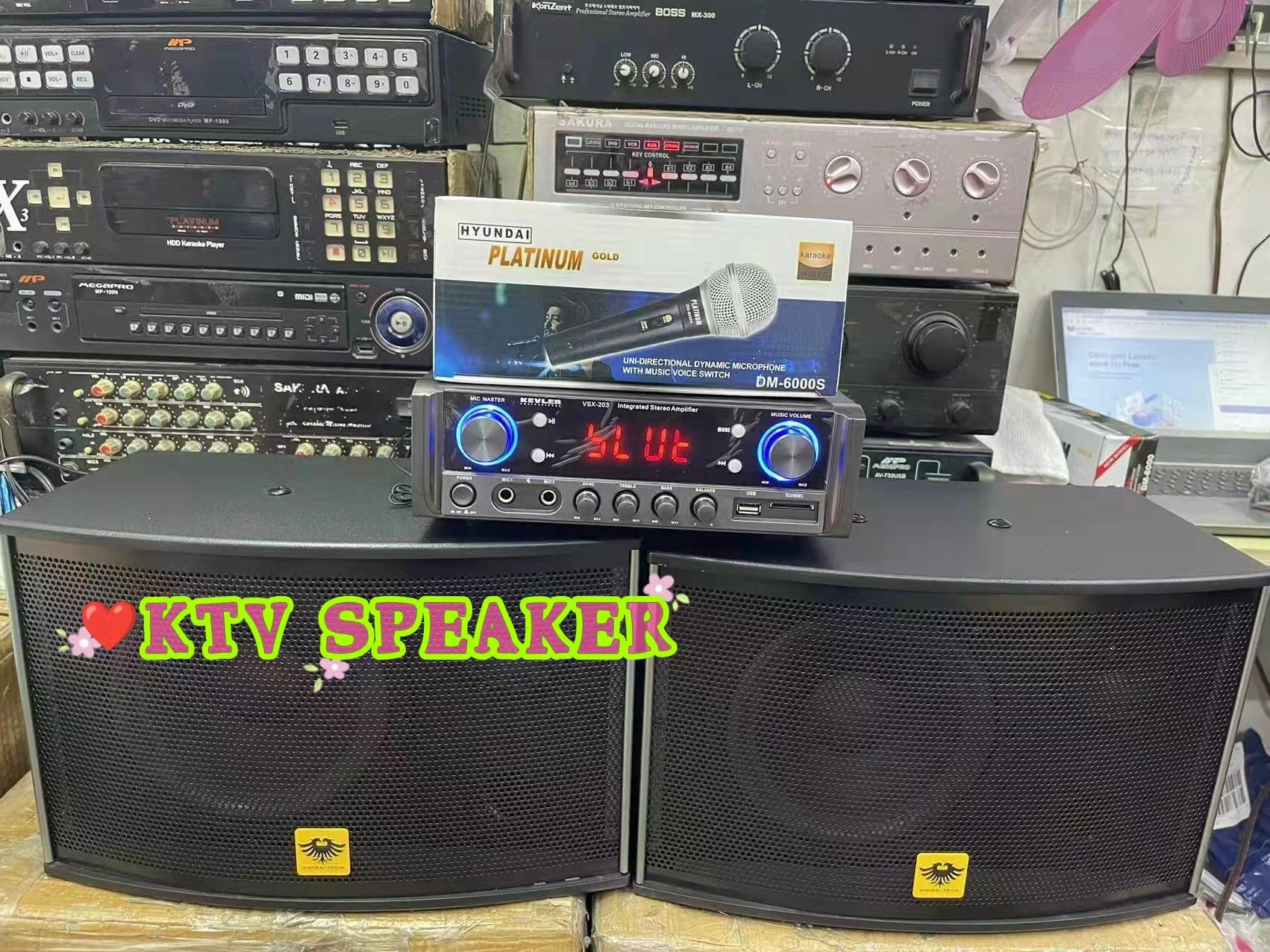 KEVLER Xcite-8 VSX-203 '8inch' Karaoke Speaker System with FREE Platinum Microphone DM-6000 ...