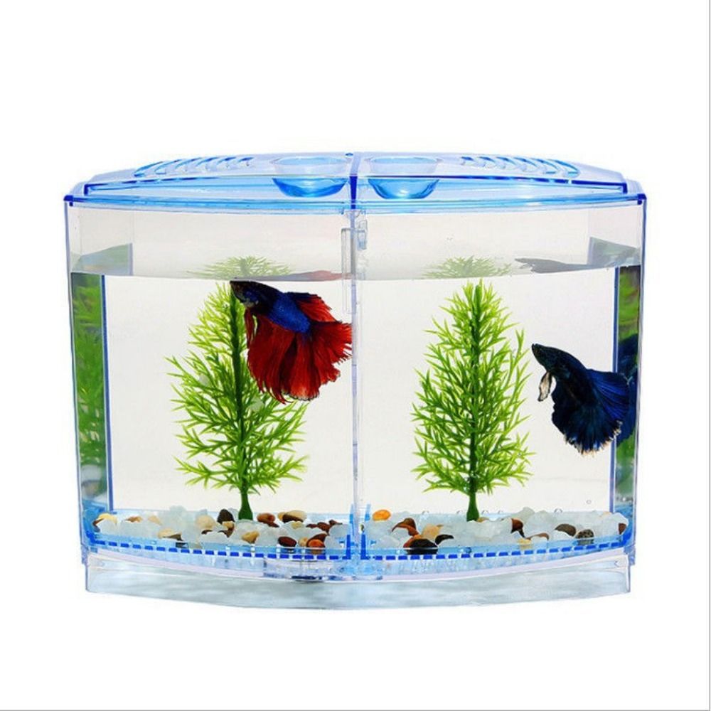 Fish House Transparent Betta Fish Single/Double Grid with Water Grass ...