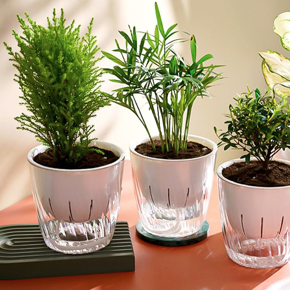 Transparent Self-priming Flowerpot Durable Double-layer Seedling Tray ...