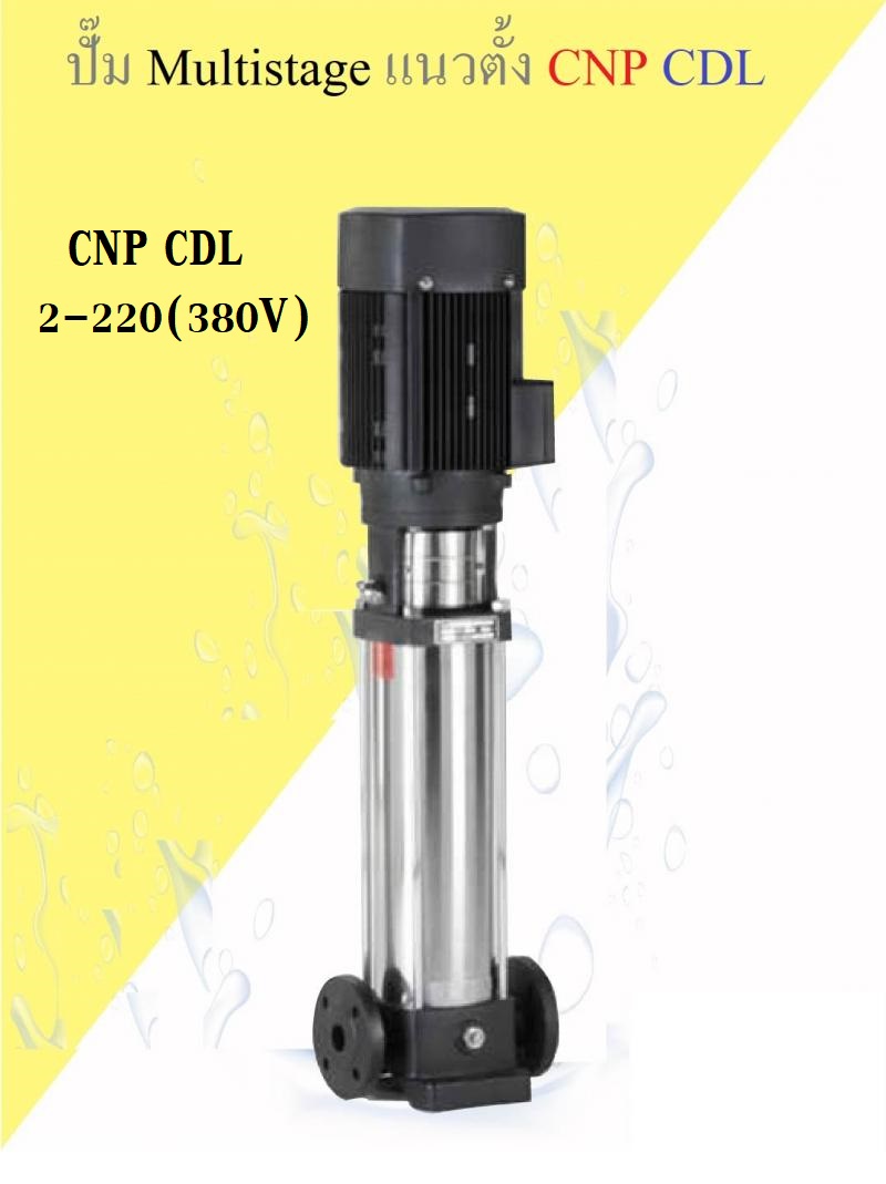 ปั๊ม Multistage แนวตั้ง CNP CDL 2-220(380V) | Lazada.co.th