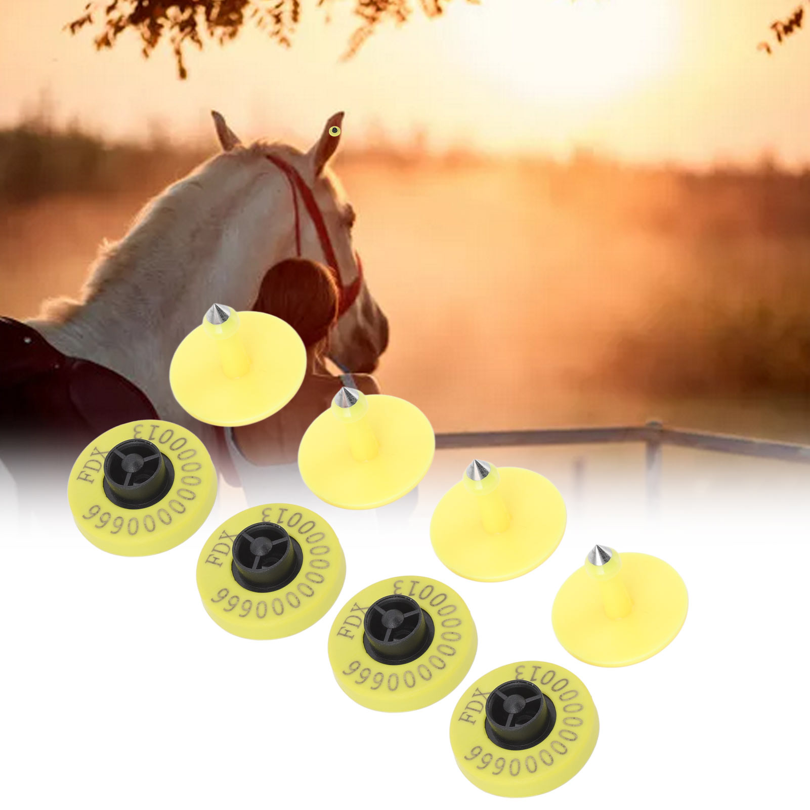 Electronic Ear Tag Easy To Manage Numerical Symbols Clear Printing ...