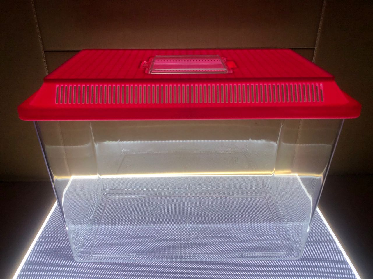 350MM+/- CLASSIC PLASTIC AQUARIUM/KLASIK PLASTIK AKUARIUM 350MM+/-/350 ...