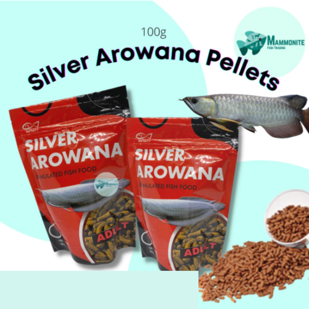 Silver Arowana Fish Food