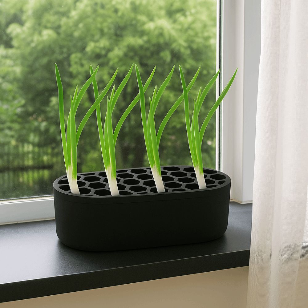 Planting Hydroponic Hydroponic Planting Tray Growing Regenerator System ...