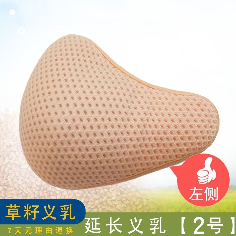 Grass seed prosthetic mastectomy prosthetic breast bra bra special fake ...