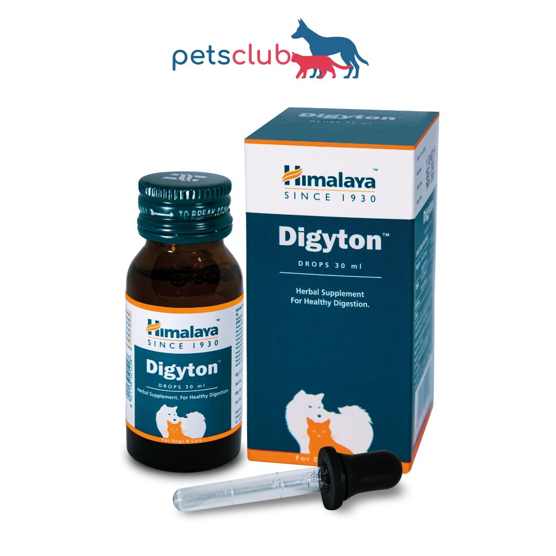 Himalaya - Digyton Drops, 30ml, Digestive Stimulant and Bowel Regulator ...