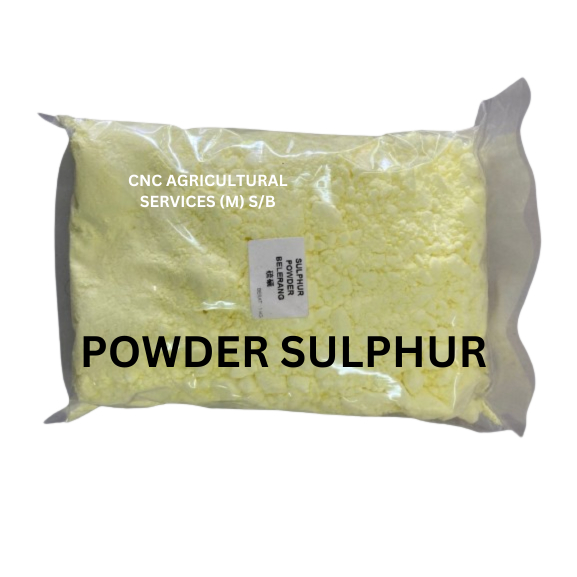 1KG Sulphur Powder Belerang Serbuk 硫磺 Snake Repellant Sulfur Penghalau ...