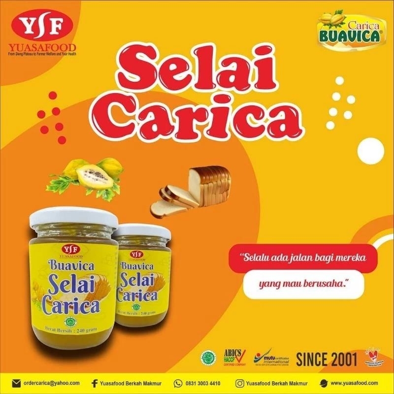 SELAI CARICA KHAS DIENG WONOSOBO | Lazada Indonesia