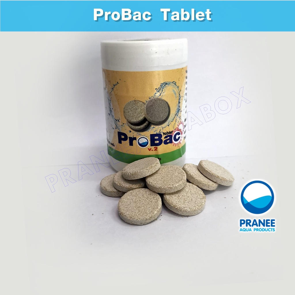 ProBac Active tablet จุลินทรีย์กำจัดของเสียในตู้ปลา ตู้ต้นไม้น้ำ ...