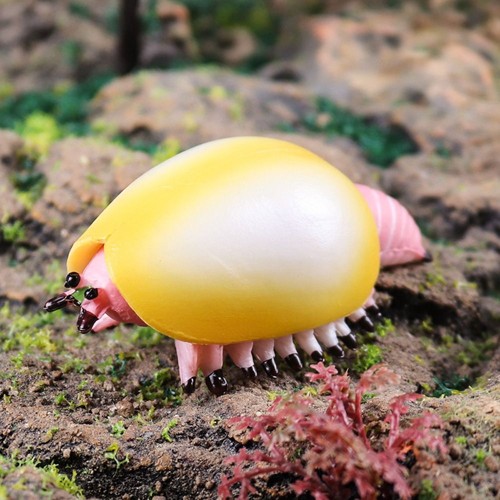 Baculites Prehistoric Ocean Animal Figure Simulation Anomalocaris ...