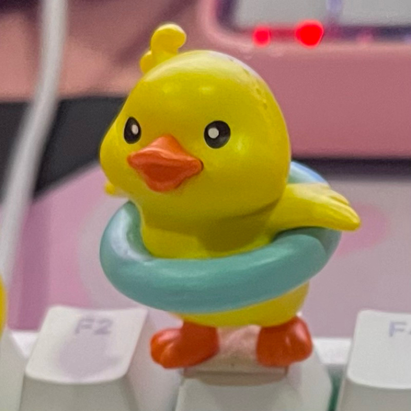 คีย์แคป Keycaps Ducky V.2~~ | Lazada.co.th