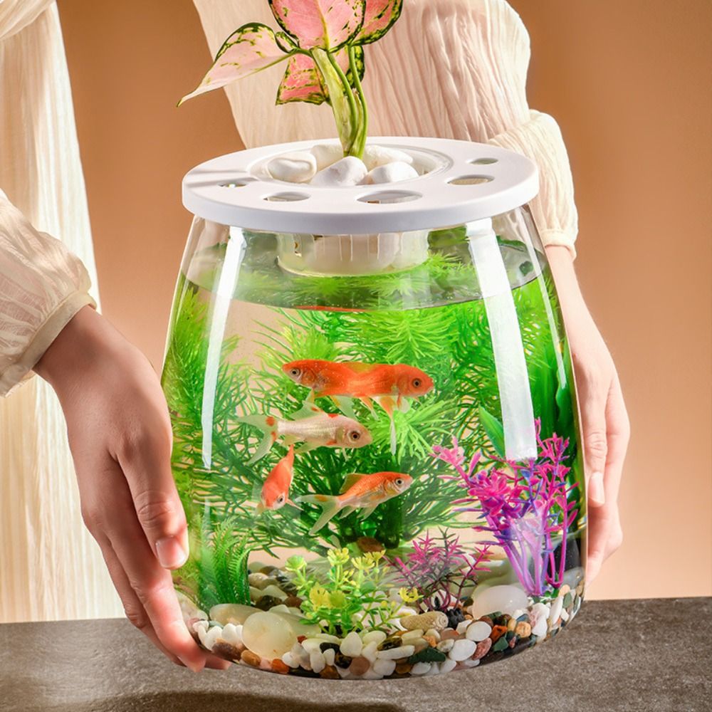 Tortoise Enclosure Transparent Small Clear Fish Plastic With Lid Turtle ...