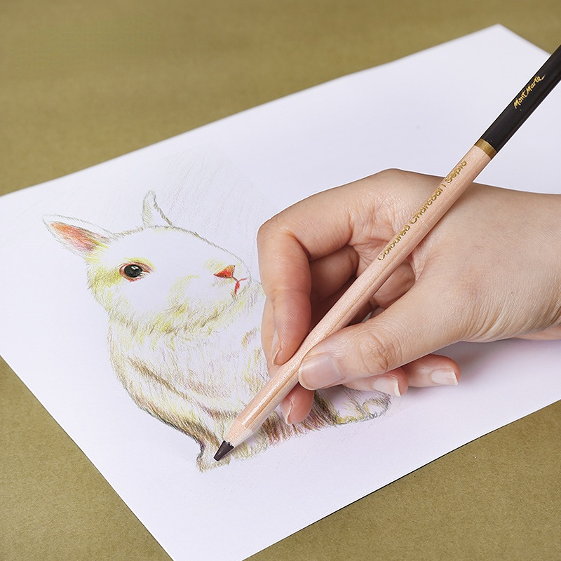 【EcoDealsq】Artist White Carbon Pen Drawing Pencil Set Student Sketch ...