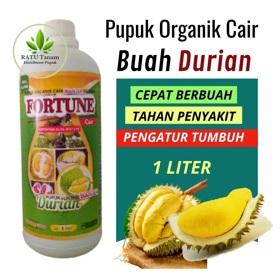 Pupuk Booster Durian Cair Agar Cepat Besar Berbuah Lebat, Pupuk Durian Terbaik, Pupuk Organik ...