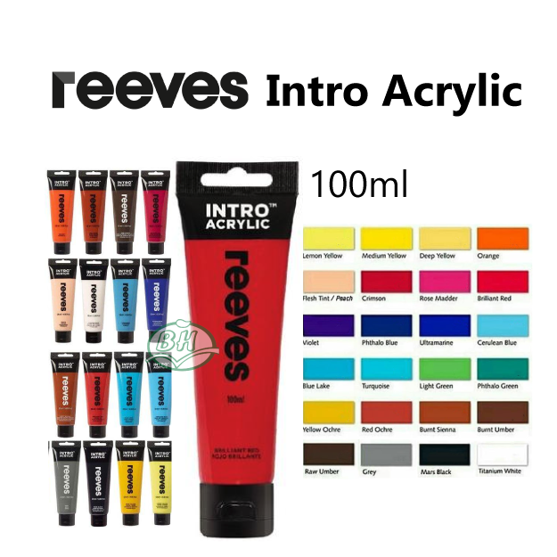 Reeves Intro Acrylic Color 100ml Tube / Acrylic Paint | Lazada