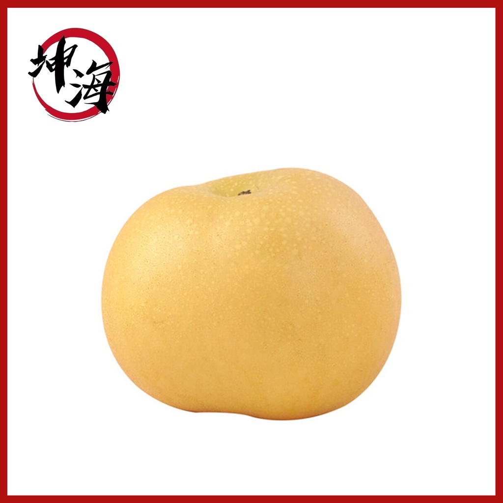 Fresh Fruit Rock Sugar Pears 3 Pieces【YummyHunter-南水冰糖梨】新鲜水果冰糖梨3粒装 ...