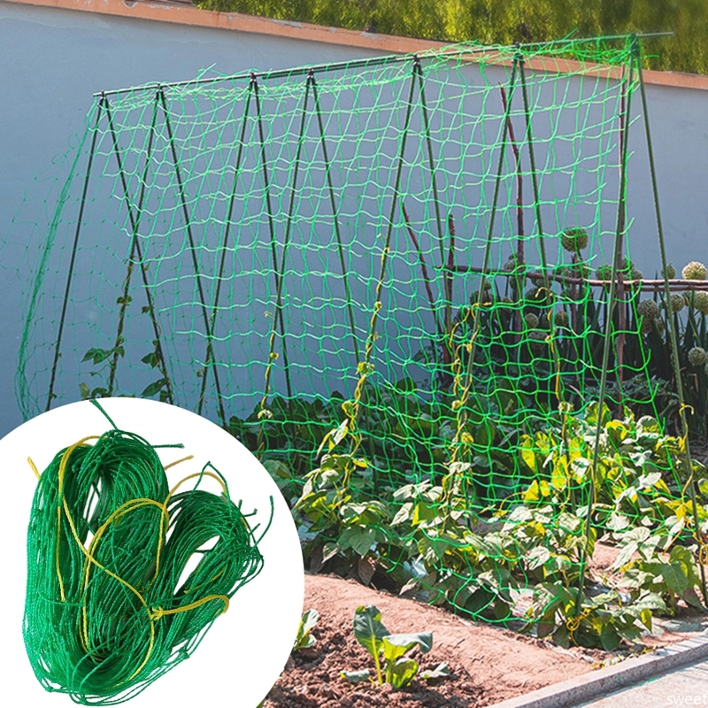 Garden Climbing Netting Strong Nylon Trelli For Climbing Plants Loofah ...