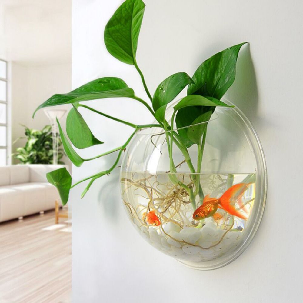 Flower Vase Acrylic Wall Mounted Fish Hemisphere Shape Transparent Wall ...