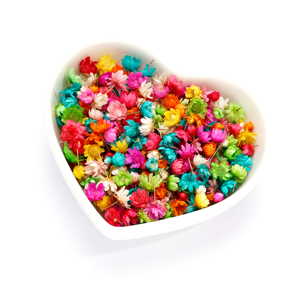 St.kunkka 1g/bag about 140pcs Colorful Dried Flower Head Flower Mini ...