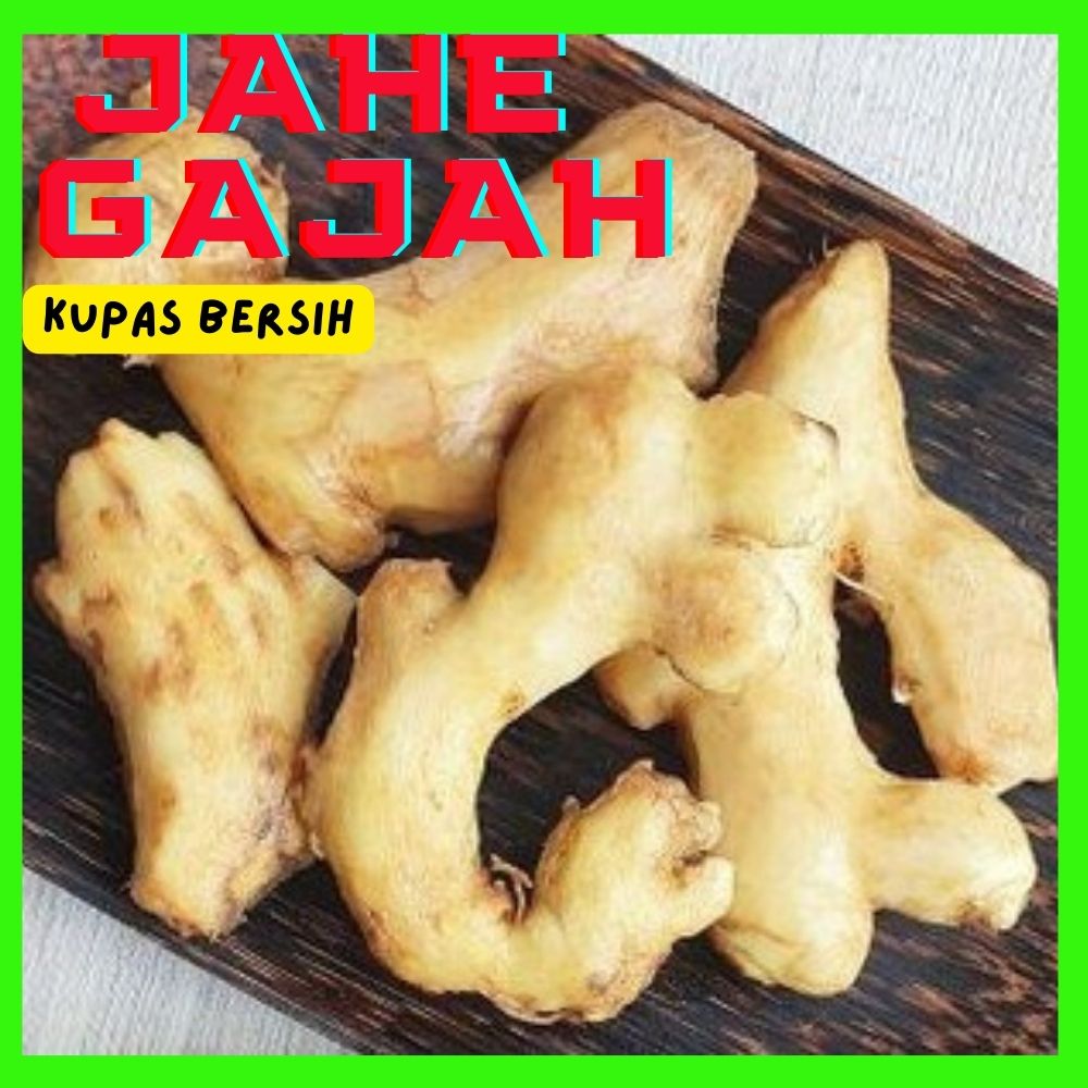 Jahe merah 1kg medan Jahe merah segar Jahe merah asli alami organik ... Jahe merah 1kg medan Jahe merah segar Jahe merah asli alami organik ...