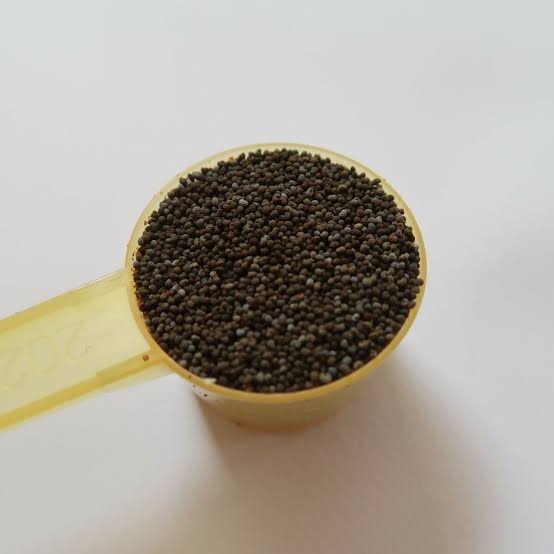 Mexican Poppy Seeds | Tukm e Satyanasi | تخم ستیاناسی | wt 100 gm ...