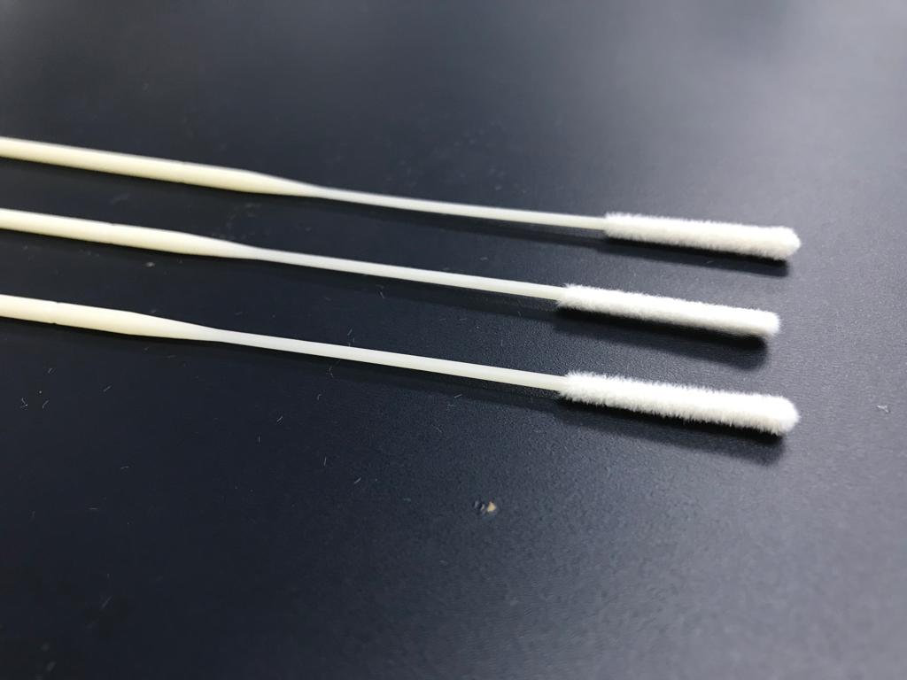 【Ready Stock】 Specimen Collection Swabs Safe Flocking Swabs Disposable ...