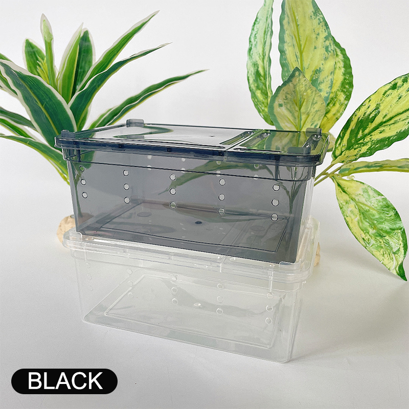 Sha Reptiles Spider Transparent Plastic Feeding Box Insect Food Feeding ...