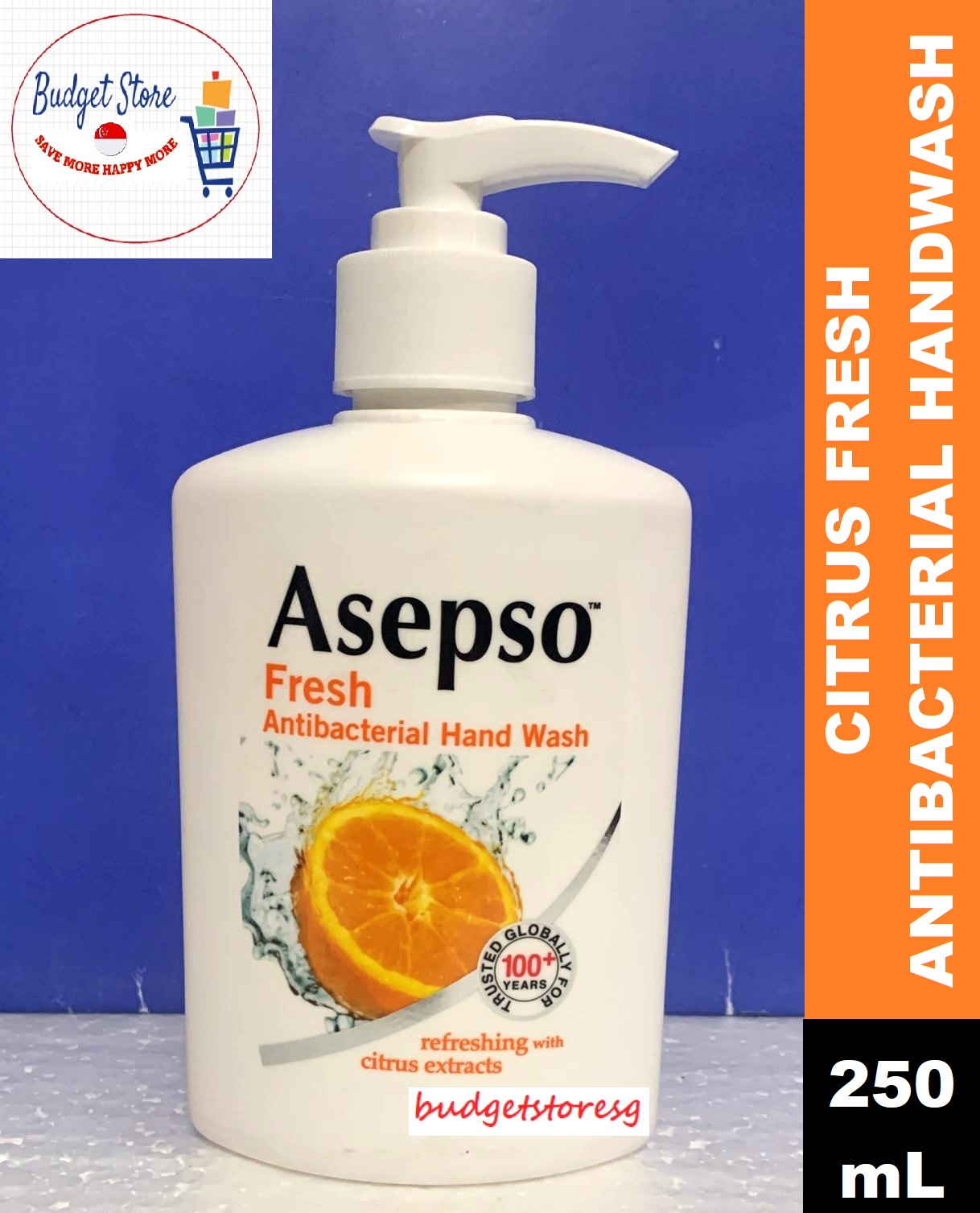 Asepso Antibacterial Handwash Citrus Fresh -250 mL | Lazada Singapore
