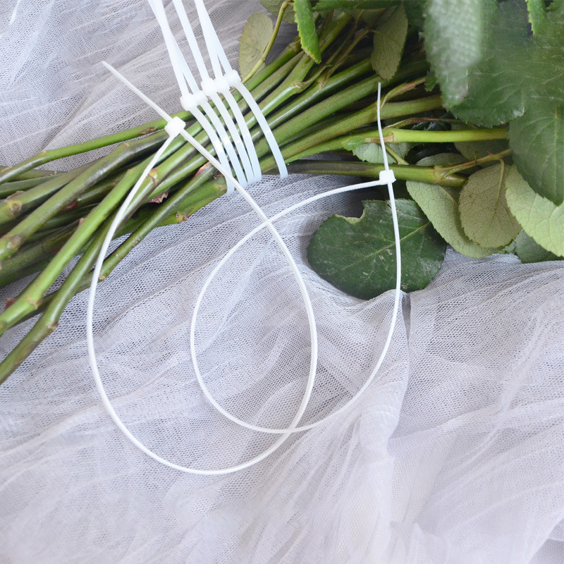 Self-locking plastic nylon tie 100PCS nylon cable tie set 3X200 Loop ...