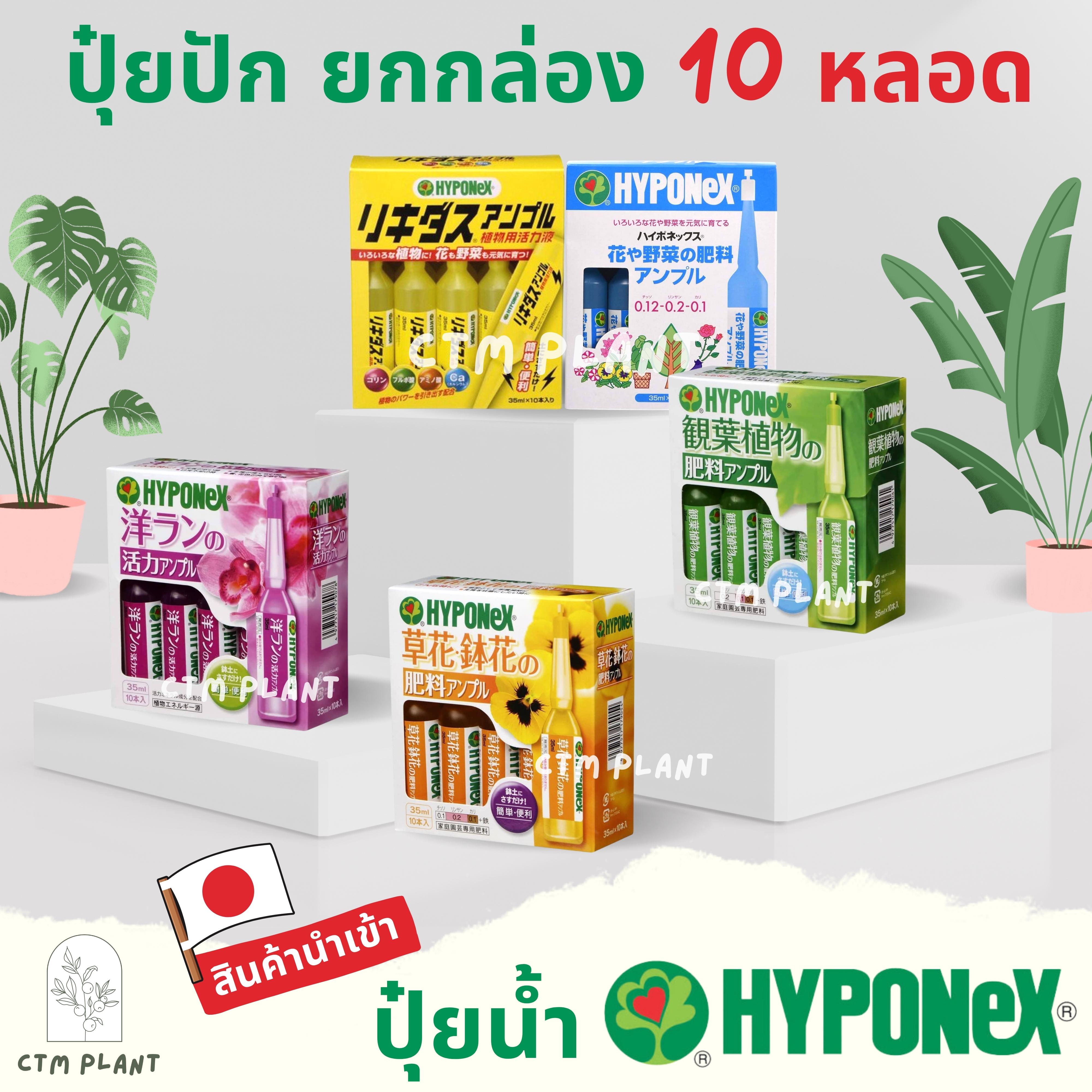 พร้อมส่ง‼️ Hyponex ปุ๋ยปัก (Hyponex Ampoule) ยกกล่อง 10 หลอด ปุ๋ยน้ำจาก ...
